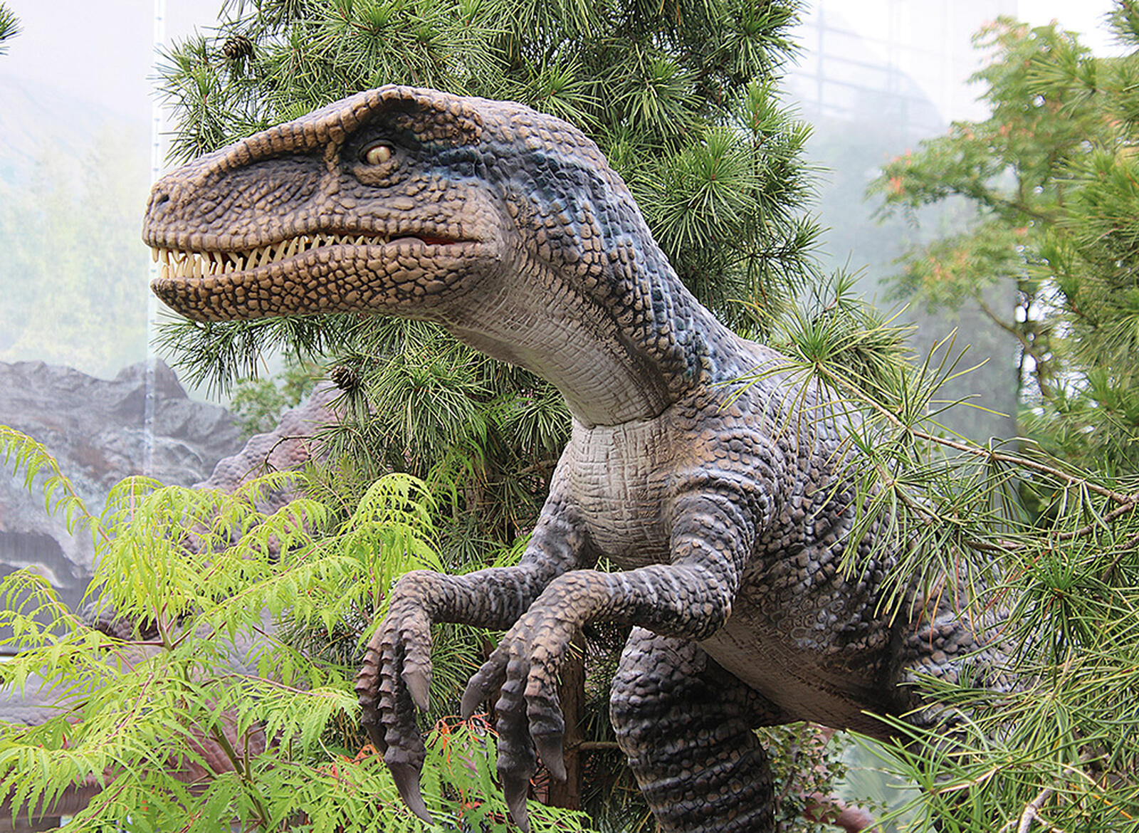 Lancering Dimitri Vegas' Dino Warriors in Pairi Daiza | Interviews ...