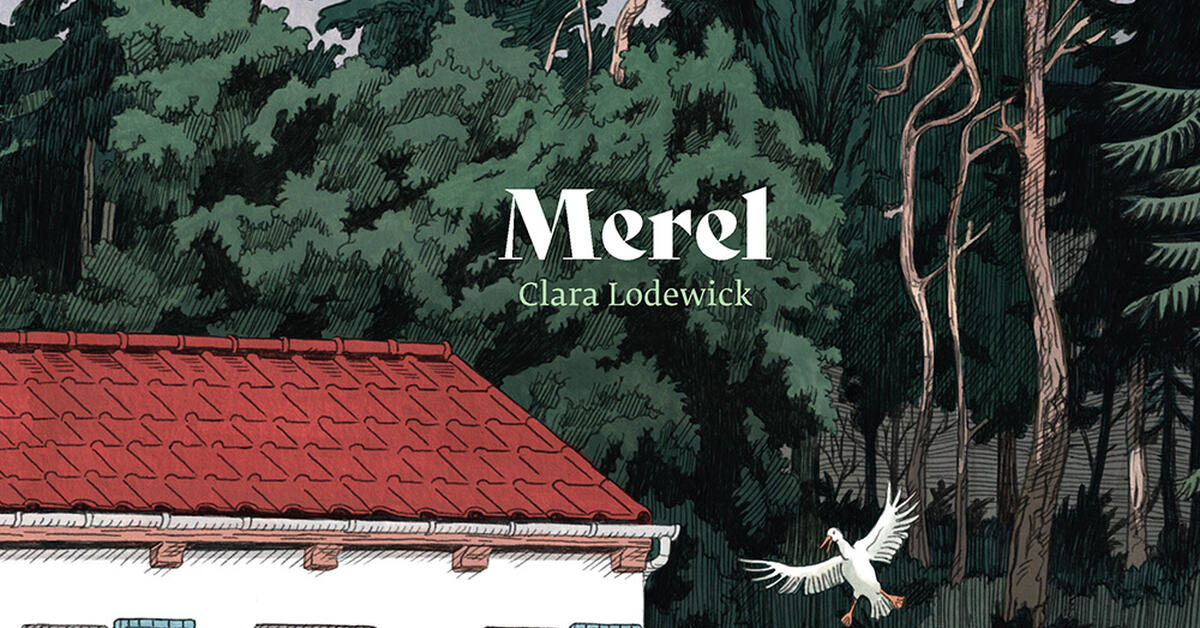 WINNAARS WEDSTRIJD! Win een gesigneerd album van Merel | Algemeen ...